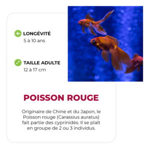 Fermes et Jardins – Mon spécialiste péï